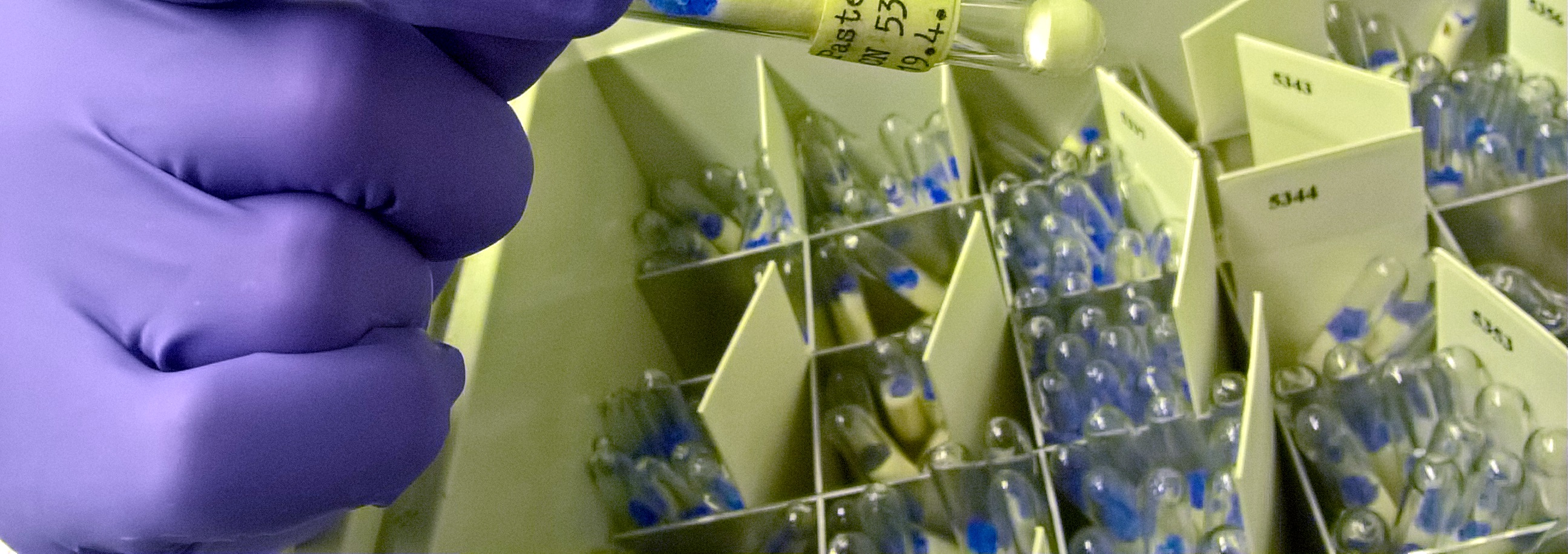 Connecting microbiological and museum communities - The UKBRCN